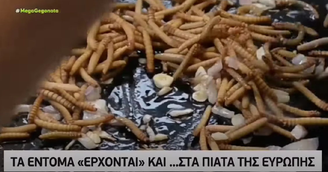 Η Νεα Τάξη και οι Μαριονέτες της έχουν λυσσάξει να φάτε έντομα..(Video ...