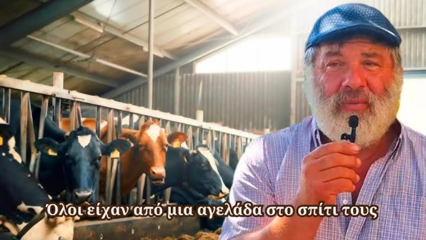 Πώς έδιωξαν όλα τα αγελάδια από τα χωριά της Ελλάδας (Video ...